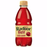 Radnor Fizz 330ml x 24 - Livewell Vending